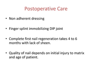 Nail bed injury | PPTX
