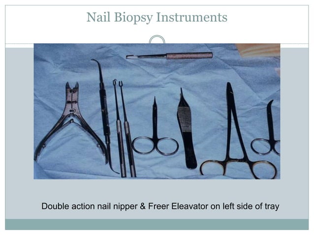 Nail biopsy | PPTX | Nail Care | Beauty