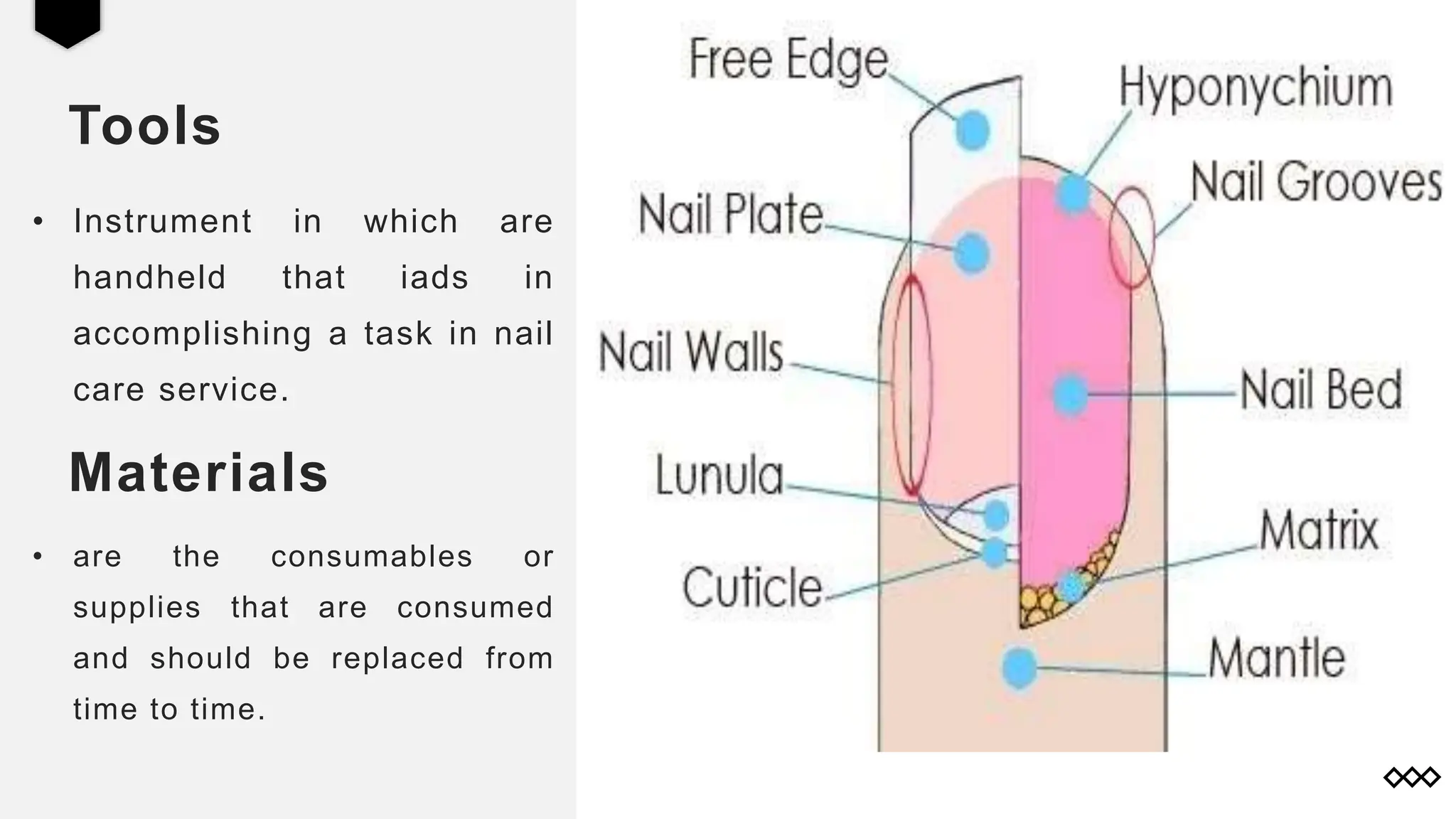 Powerpoint Presentation: TLE (Technology and Livelihood Education. Nail ...
