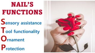 Nail Care Parts and Structure Demo .pptx