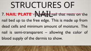NAIL CARE and shapes WEEK 5 - POWERPOINT.ppt
