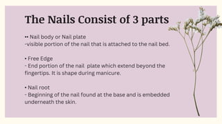 NailDisorder/ Nail Structure(Abigail DelasAlas)-pdf | PPT