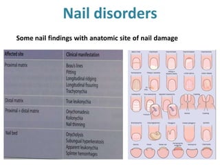 Nail disorder fahad albedaiwi | PPT