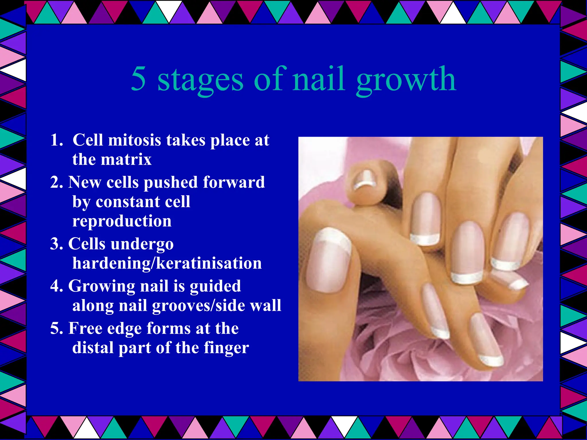 Nail growth and factors that affect.pptx