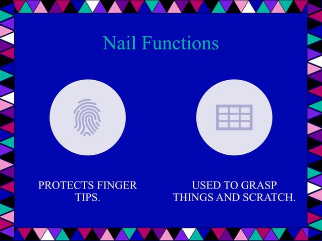 Nail growth and factors that affect.pptx