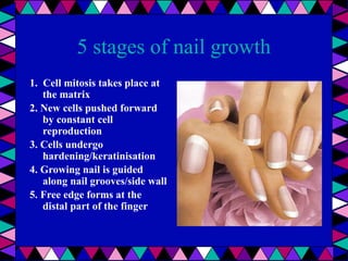 Nail growth and factors that affect.pptx