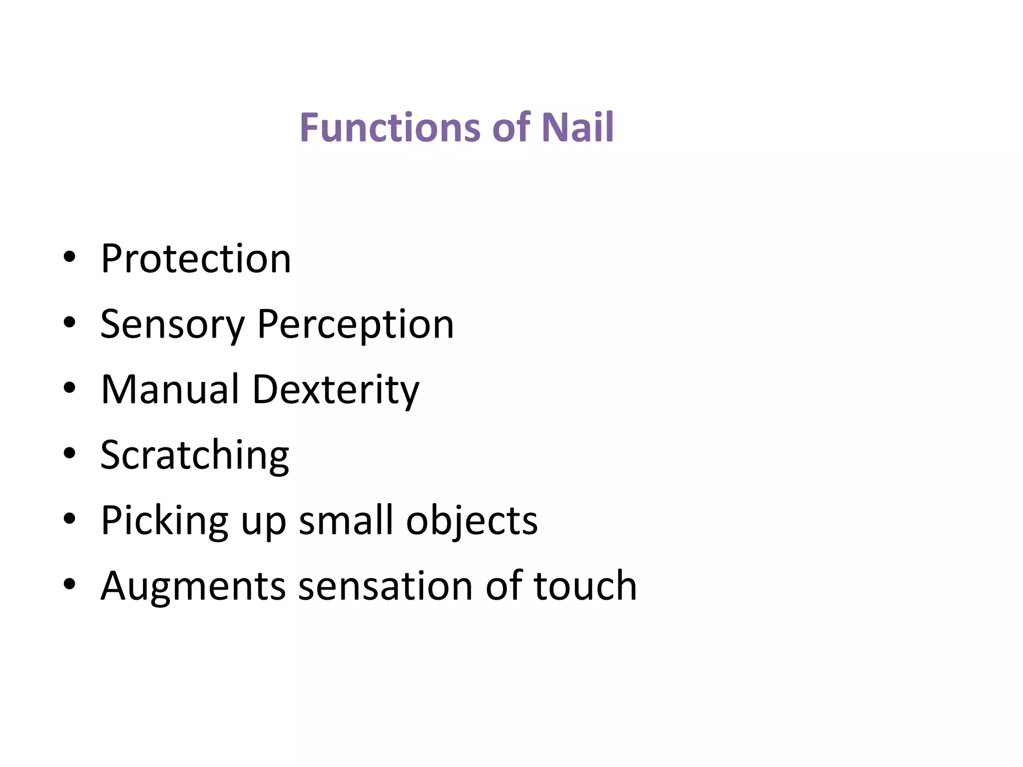 Anatomy of Nail And Applied Aspects | PPTX
