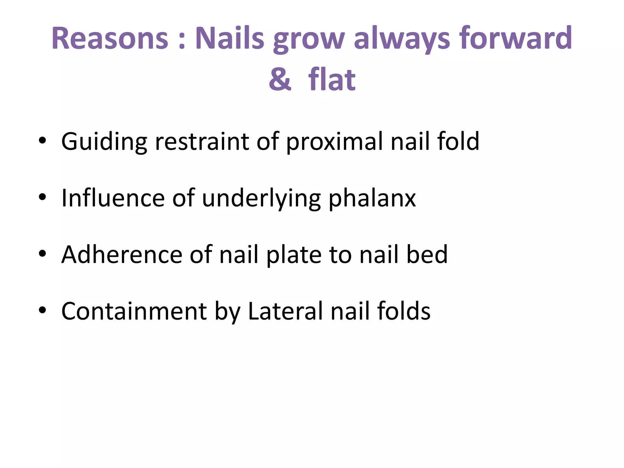 Anatomy of Nail And Applied Aspects | PPTX