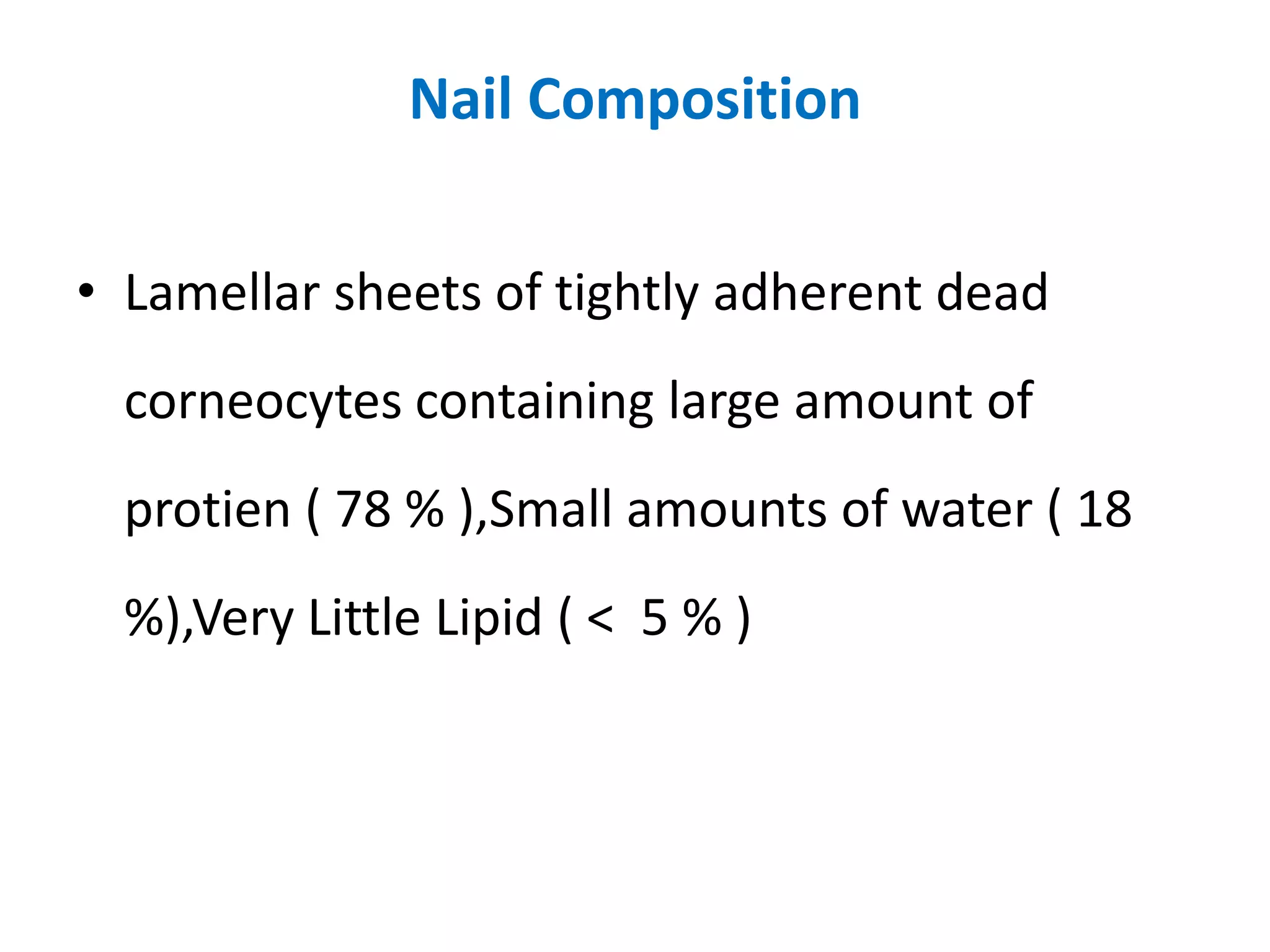 Anatomy of Nail And Applied Aspects | PPTX