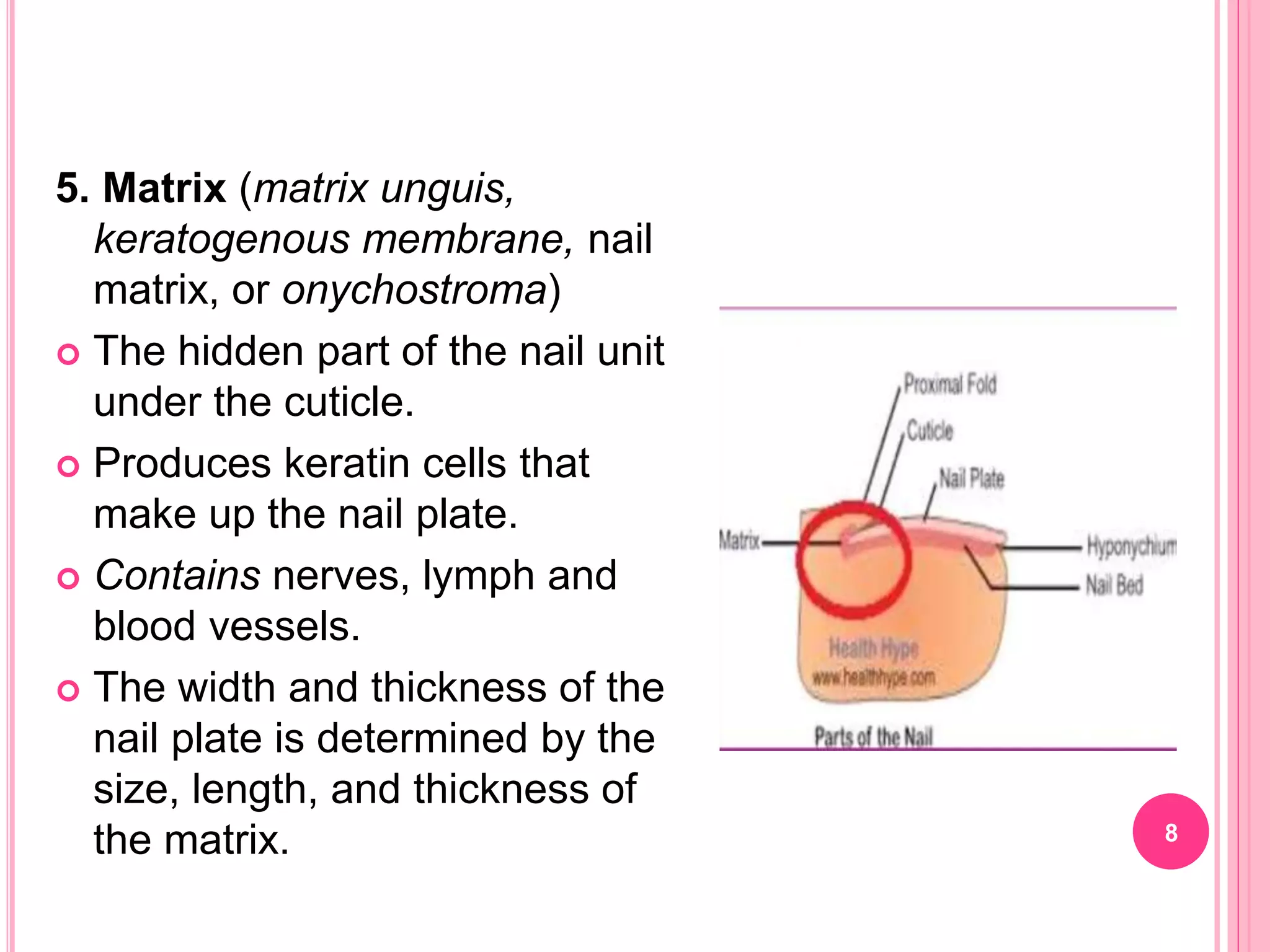 Diseases of nail and their treatment | PPTX