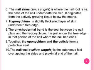 Diseases of nail and their treatment | PPTX