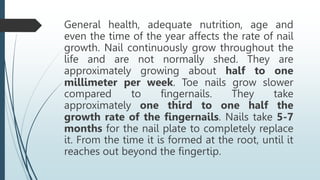 NAILS.nail caremanicure and pedicur.pptx