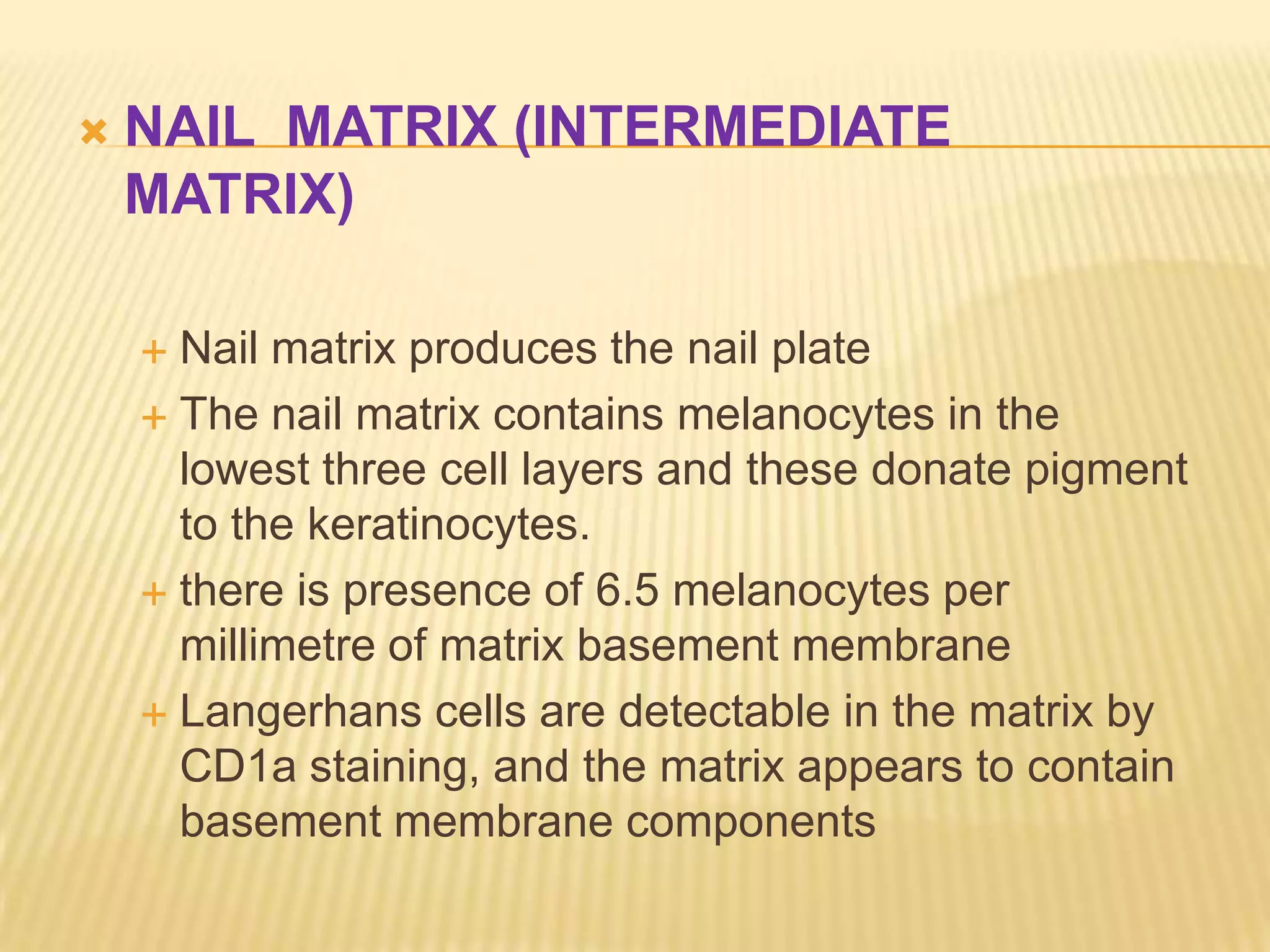 Nail seminar | PPTX
