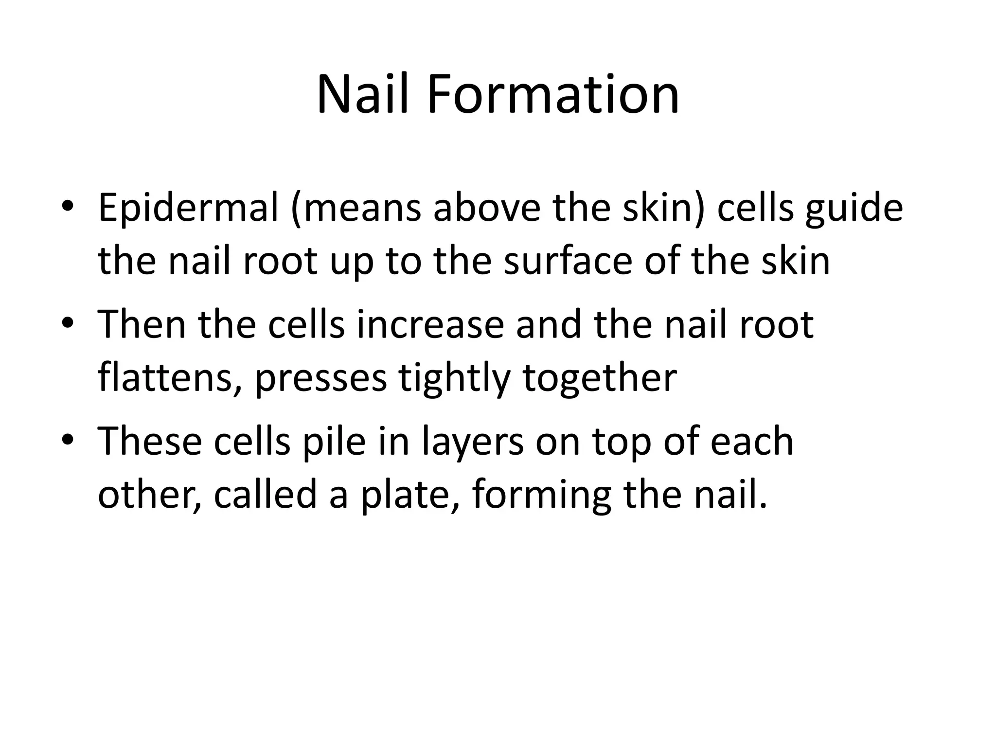 Nailspresentation | PPTX