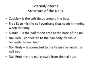 Nailspresentation | PPTX