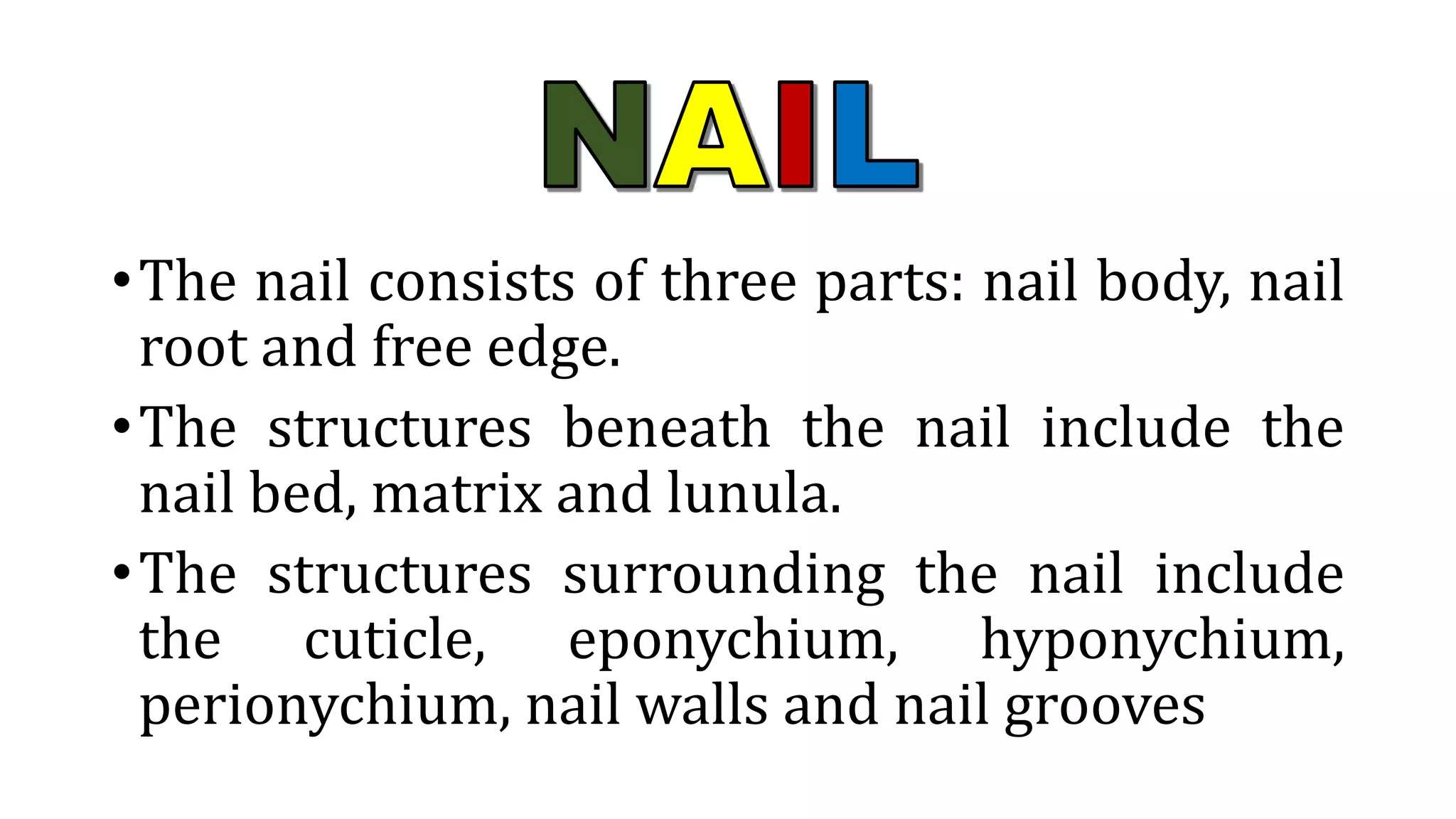 Nail structure | PPTX