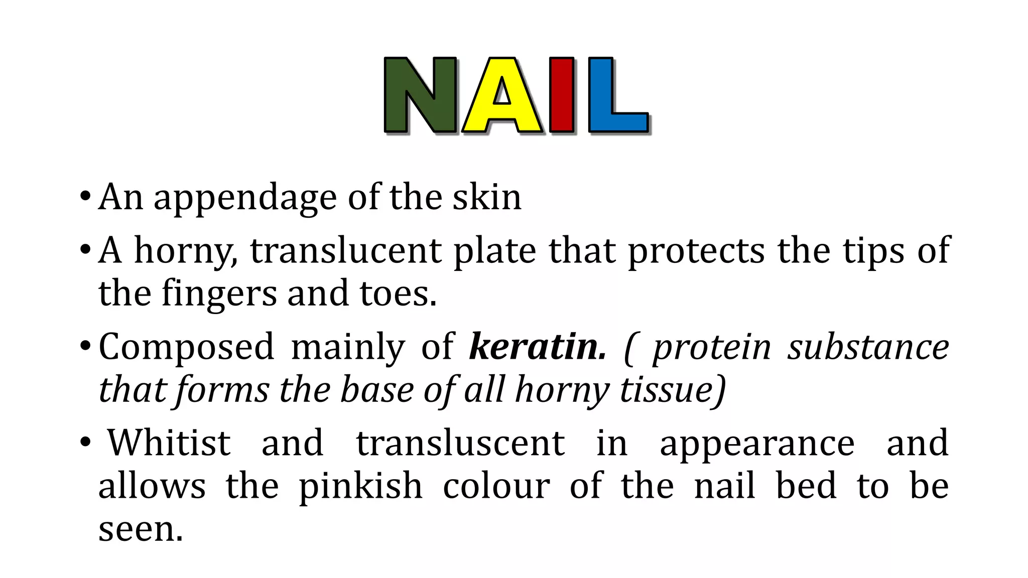 Nail structure | PPTX