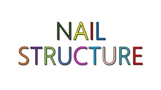 Nail structure | PPTX
