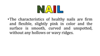 Nail structure | PPTX