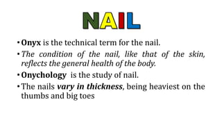 Nail structure | PPTX