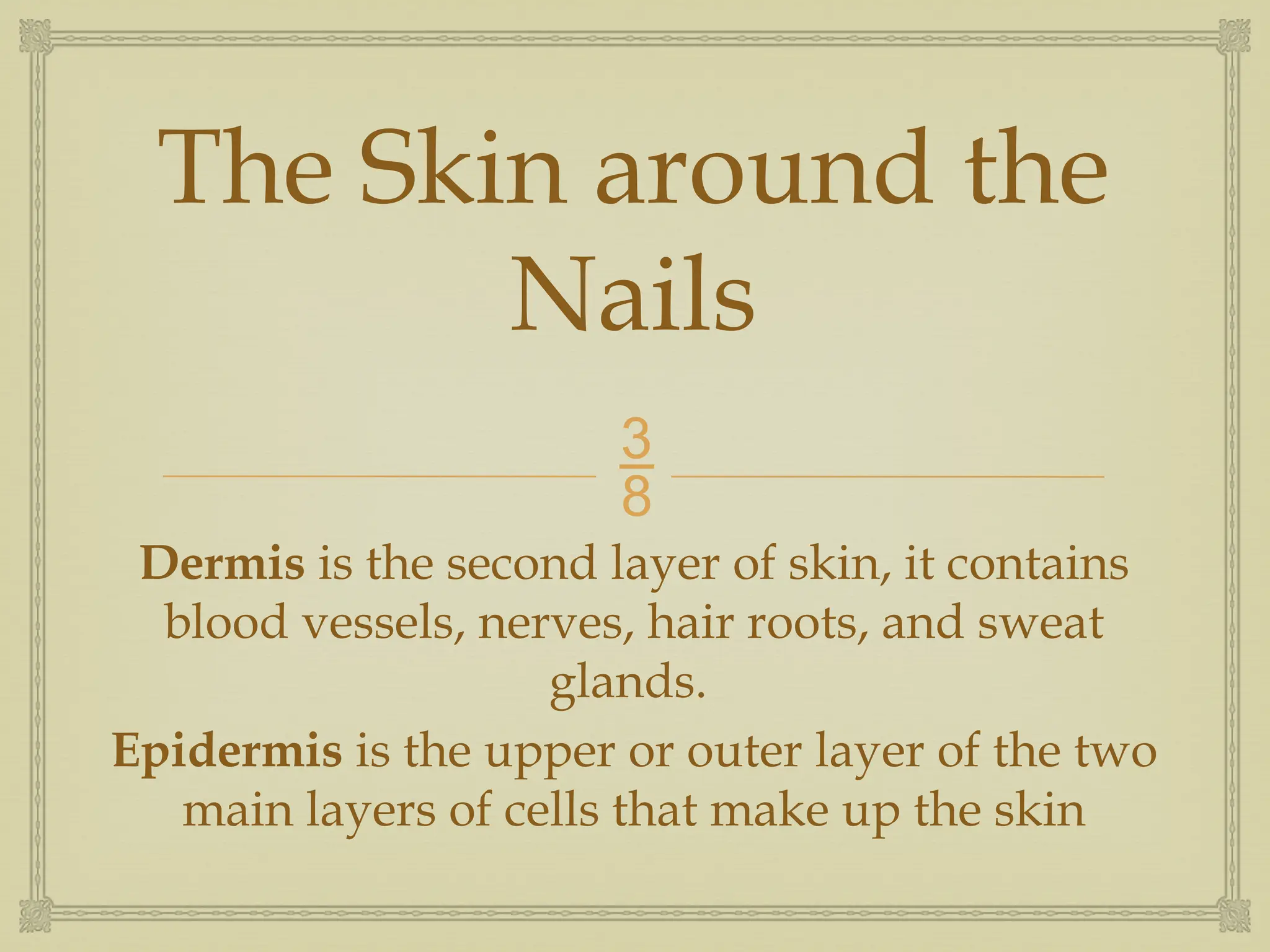 Nail Structure on humans that are i.pptx