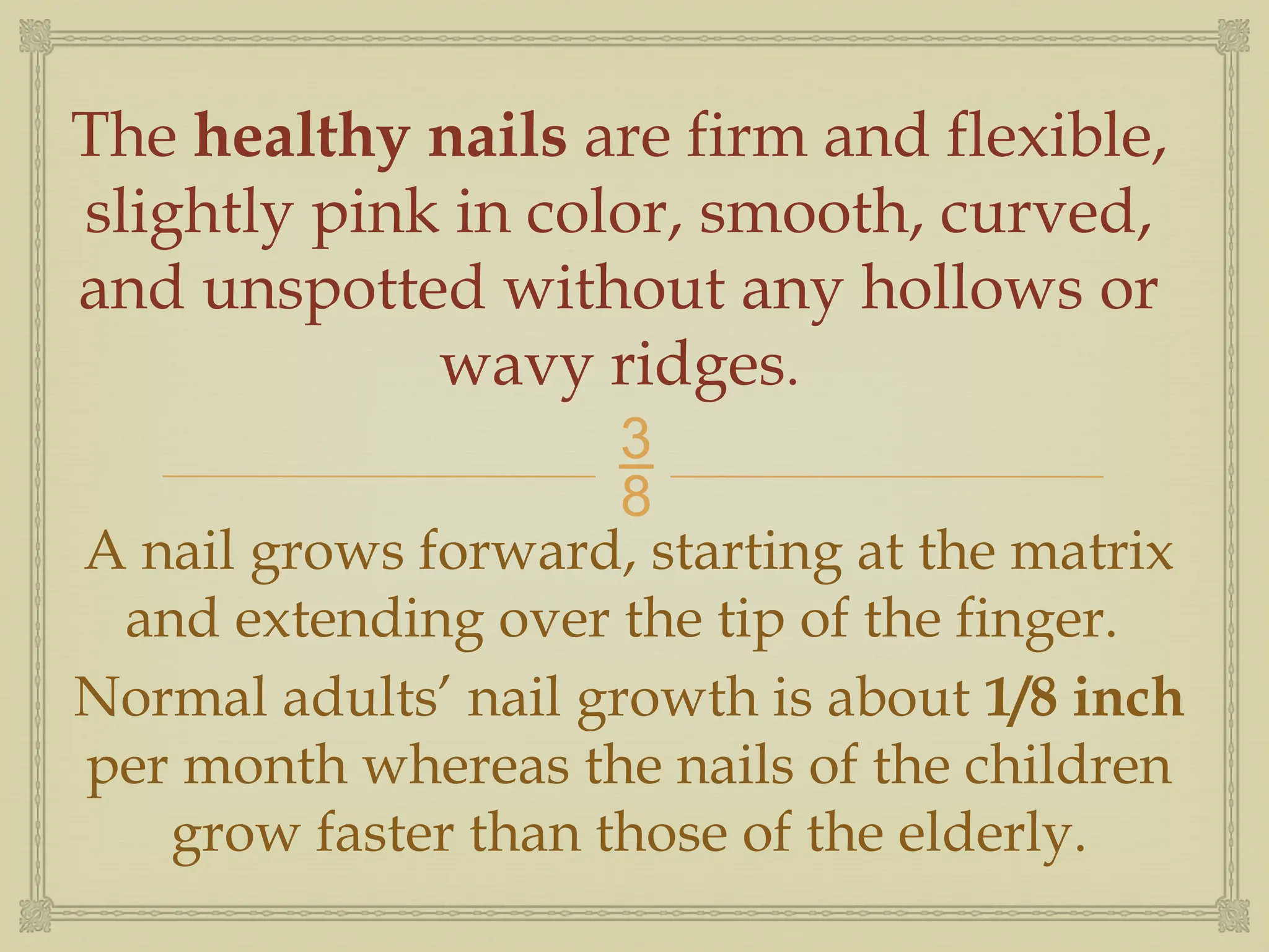 Nail Structure on humans that are i.pptx