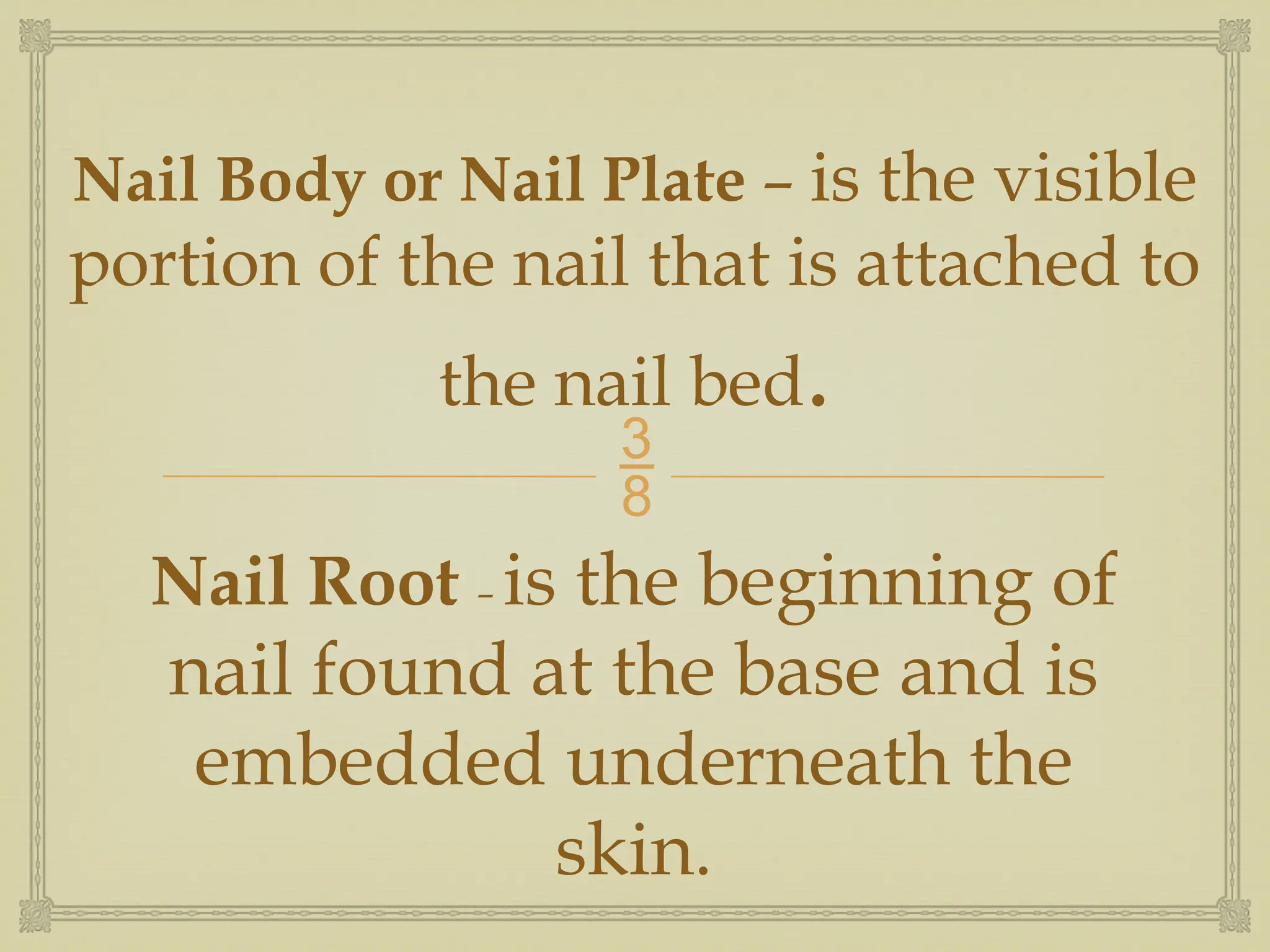 Nail Structure on humans that are i.pptx