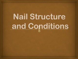 Nail Structure on humans that are i.pptx