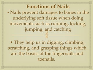 Nail Structure on humans that are i.pptx