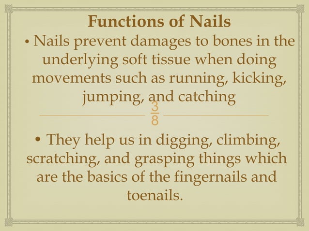 Nail Structure on humans that are i.pptx