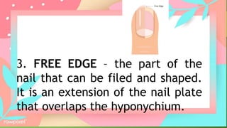 NAIL STRUCTURE AND SHAPES.pptx