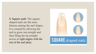 Nail Structures and Shapes.pptx gRADE7 T | PPTX