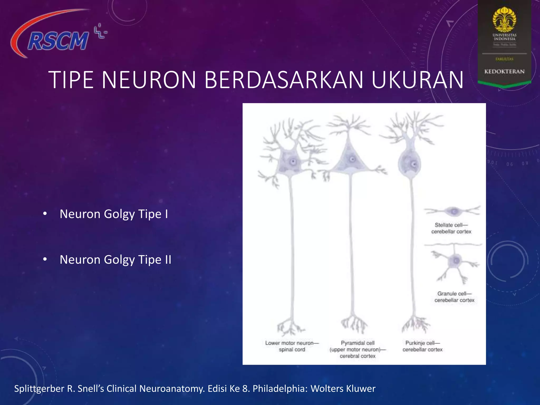 NA I Neurobiologi IR.pptx