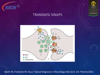 NA I Neurobiologi IR.pptx