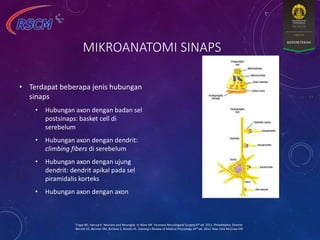 NA I Neurobiologi IR.pptx