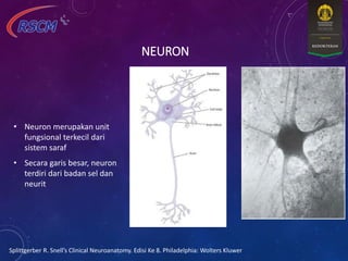 NA I Neurobiologi IR.pptx