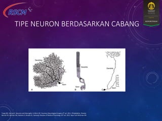 NA I Neurobiologi IR.pptx