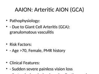 NAION_vs_AAION_Detailed_Presentation.pptx