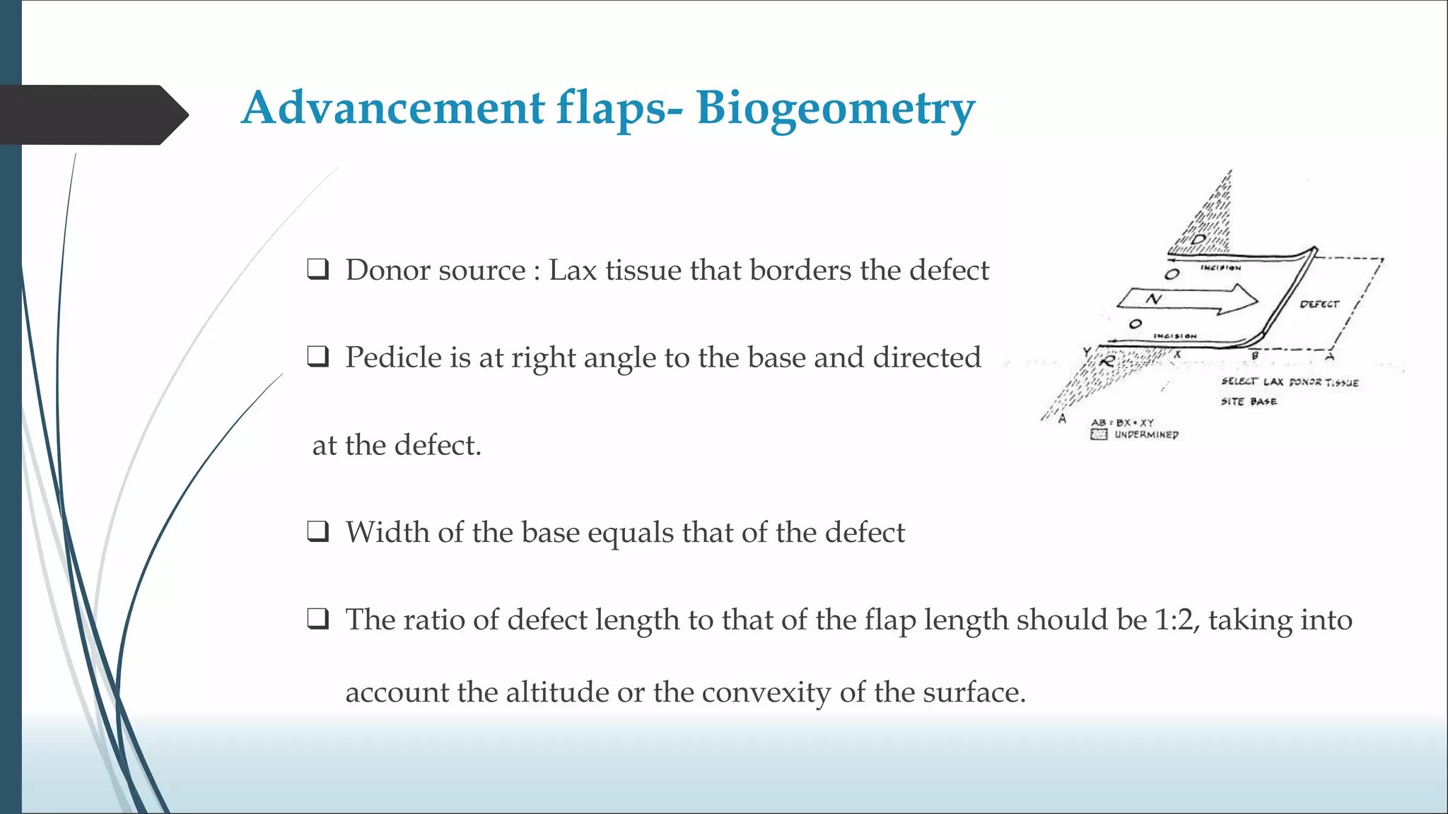 Biogeometry of flaps.ppt