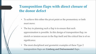 Biogeometry of flaps.ppt