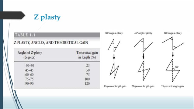 Biogeometry of flaps.ppt