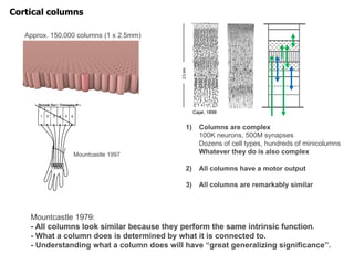 Jeff Hawkins NAISys 2020: How the Brain Uses Reference Frames, Why AI ...