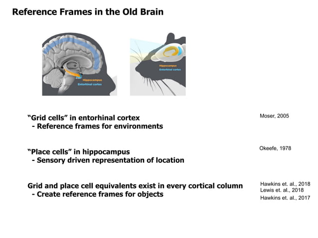Jeff Hawkins NAISys 2020: How the Brain Uses Reference Frames, Why AI ...