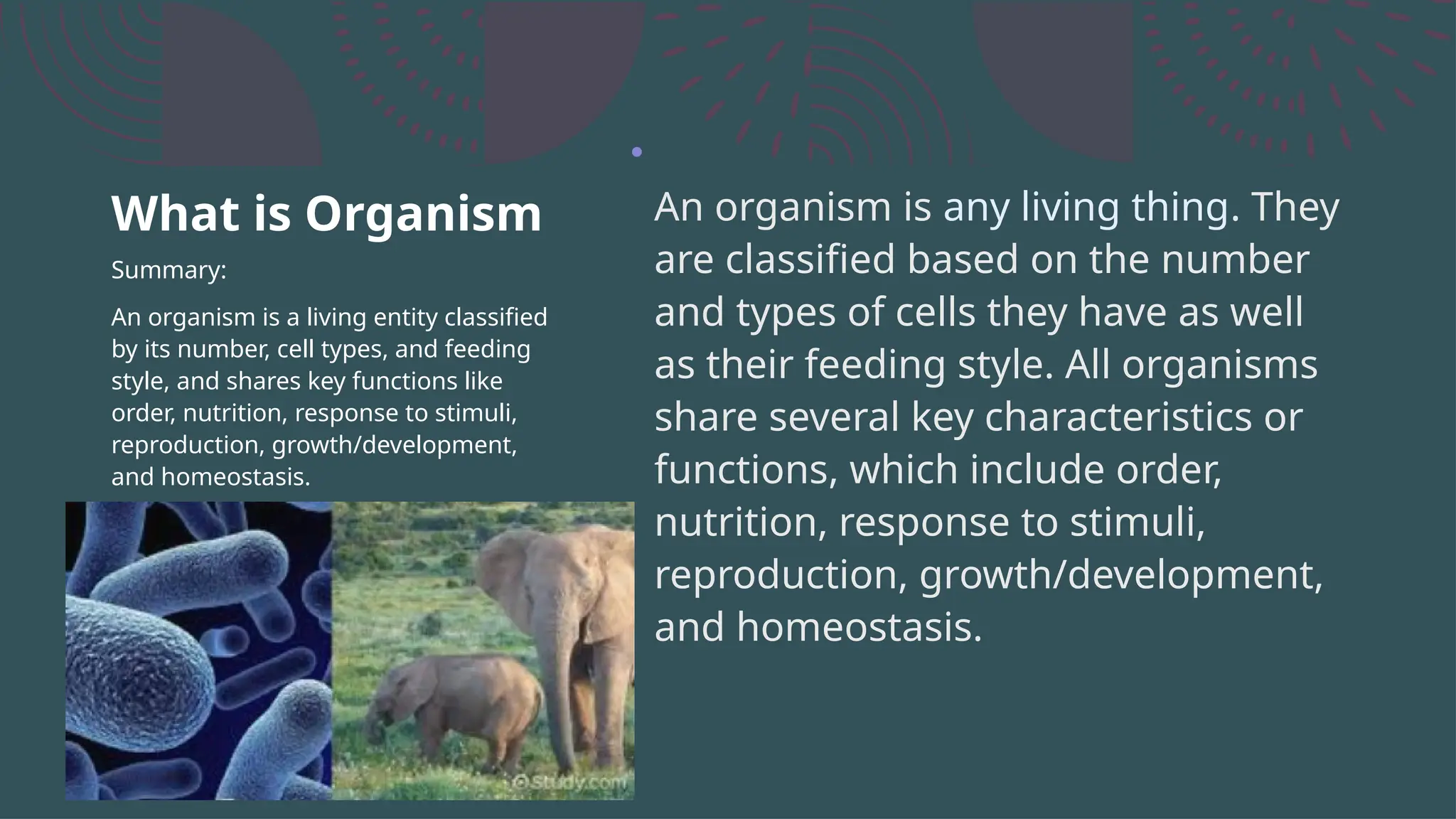 The Living Organisms And Habitats Science ppt | PPTX
