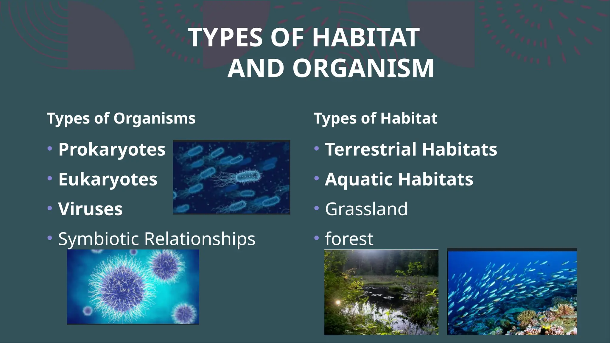 The Living Organisms And Habitats Science ppt | PPTX