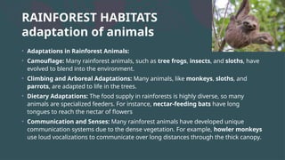 The Living Organisms And Habitats Science ppt | PPTX