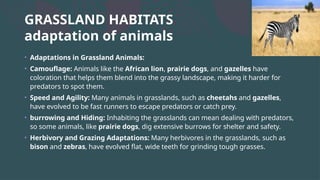 The Living Organisms And Habitats Science ppt | PPTX
