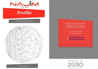 NAJIM SYSTEMS COMPANY PROFILE 2018 V5 | PPT