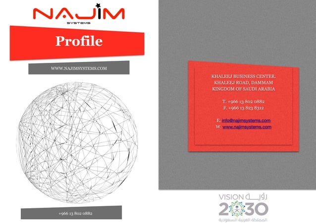 NAJIM SYSTEMS COMPANY PROFILE 2018 V5 | PPT