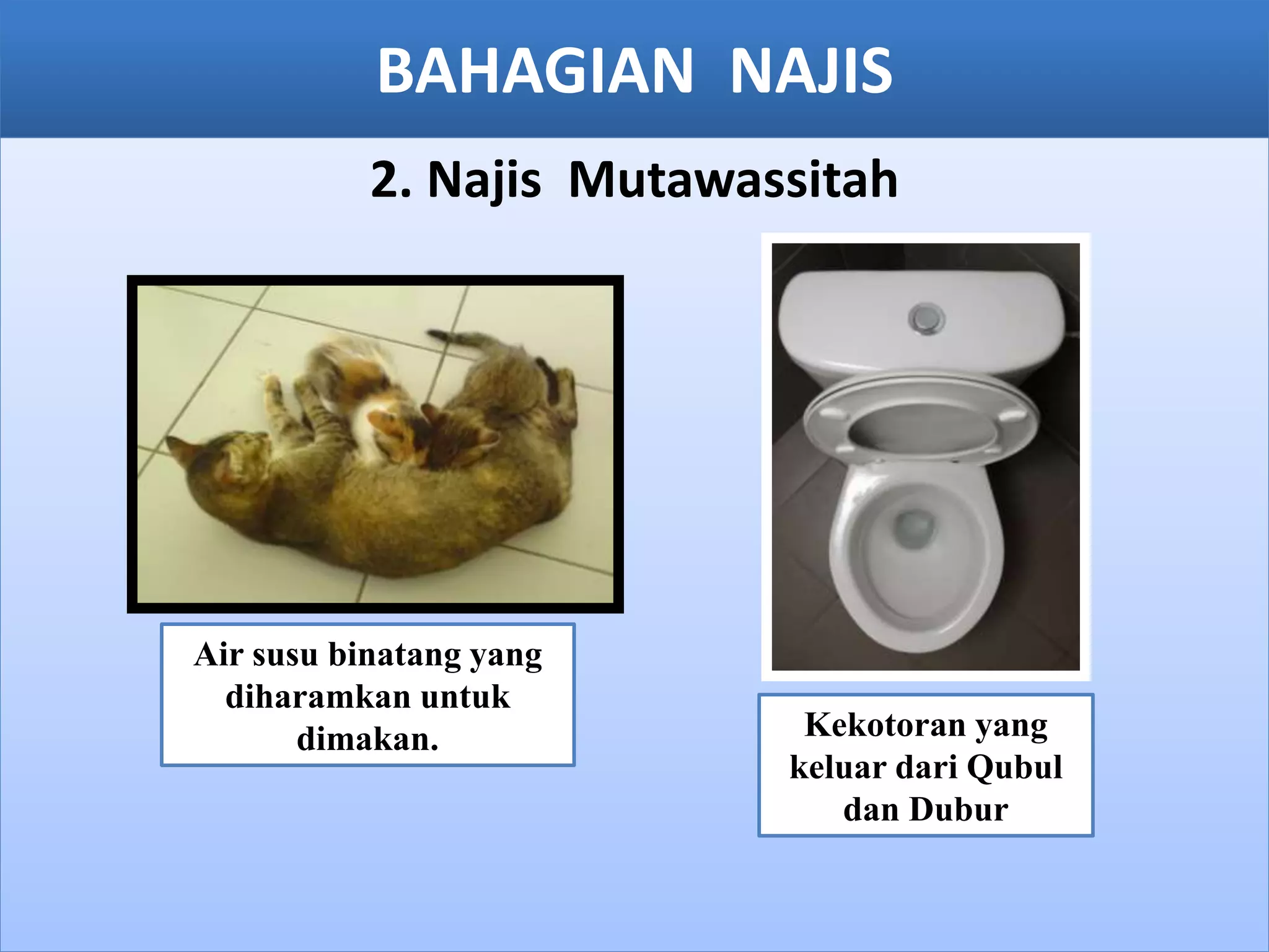 BAHAGIAN NAJIS | PPTX